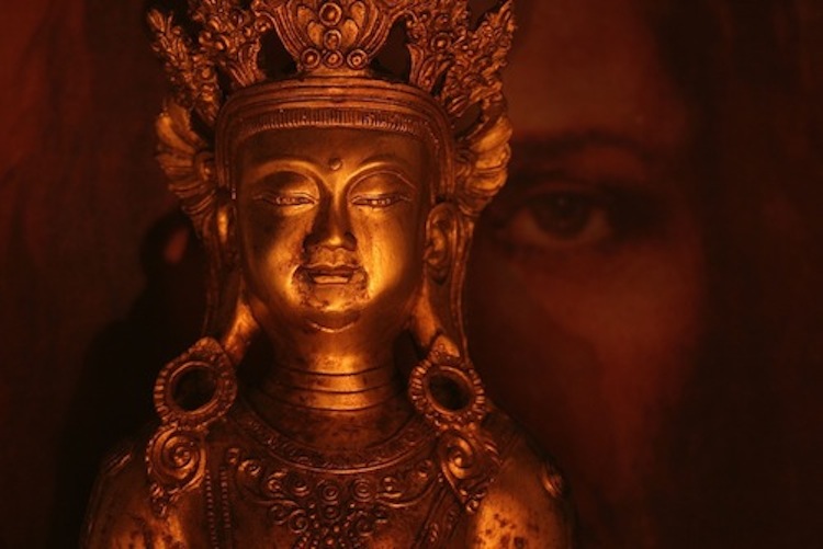 A History of Addled: from idea to publication – Jessica Davidson