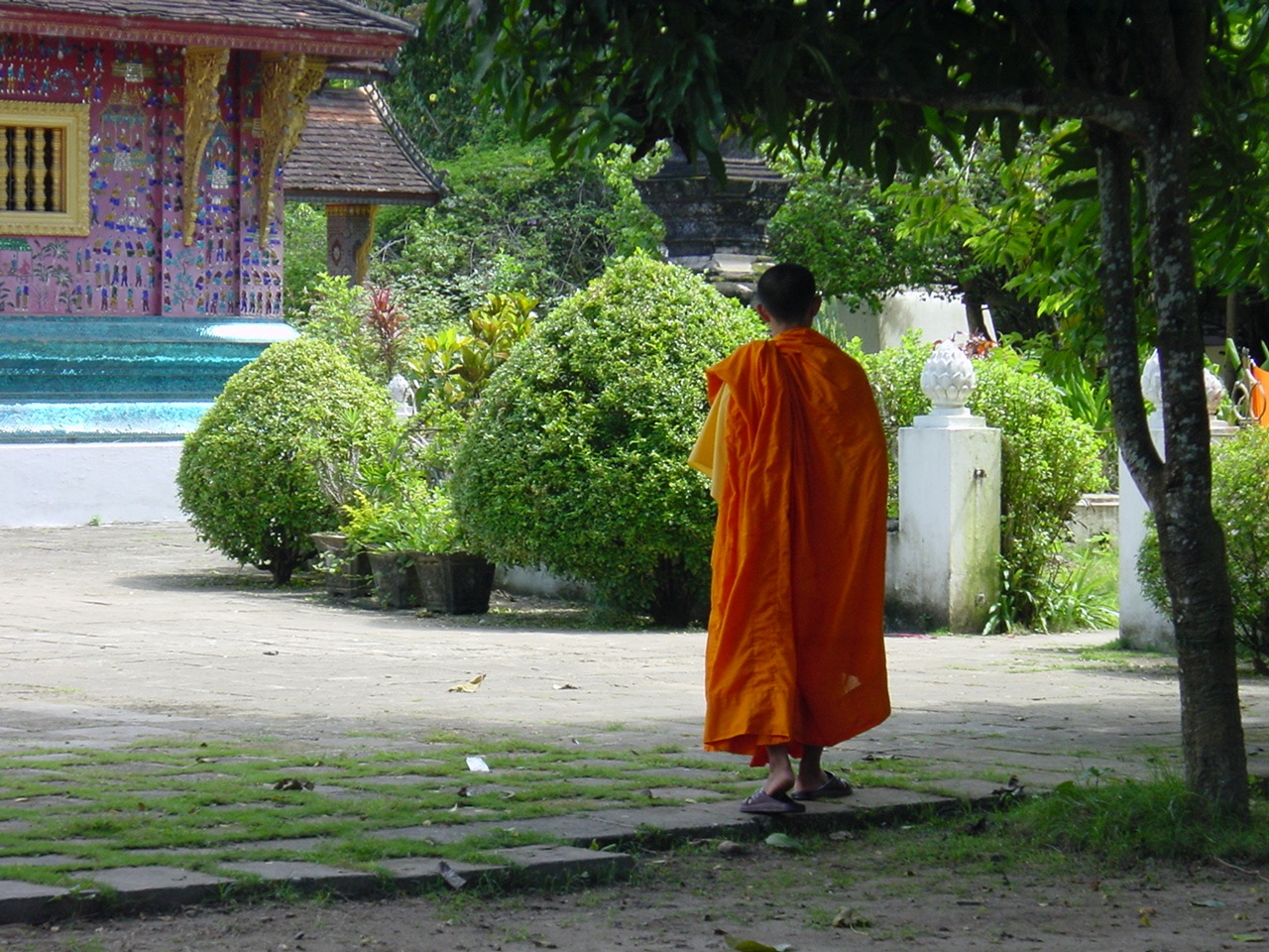 How to Meditate: Zen Walking – Jessica Davidson