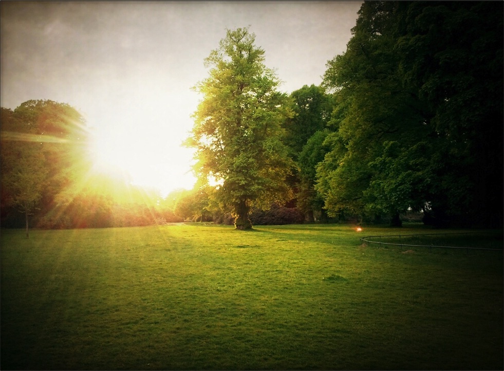 What Is Enlightenment? – Jessica Davidson