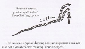 The Cosmic Serpent: DNA and the Origins of Knowledge – Jessica Davidson