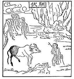 Zen Ox Herding Pictures: Introduction – Jessica Davidson