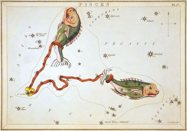Zodiac Myths: The Story Behind Pisces – Jessica Davidson