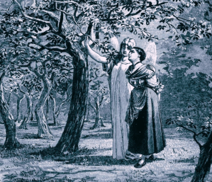 Handless Maiden – Jessica Davidson